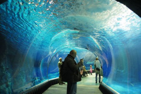 Afrykarium we wrocławskim ZOO